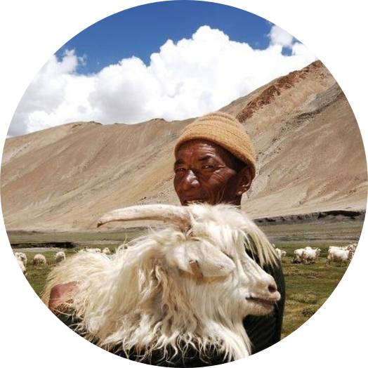 Eric Bompard - Graphiste Powerpoint